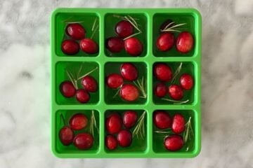 Holiday Ice Cubes | Healthy Foodie Girl